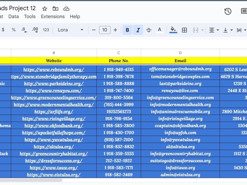 Accurate data entry web research excel data email phone address | Upwork
