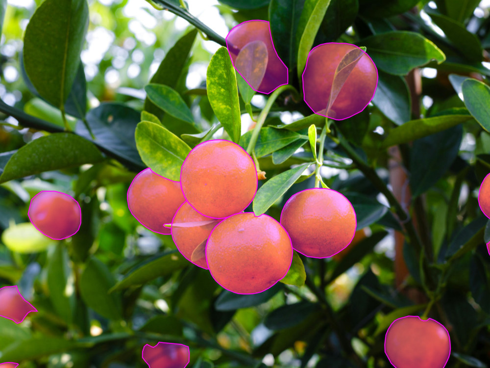 Accurate labelled or annotated images | Upwork