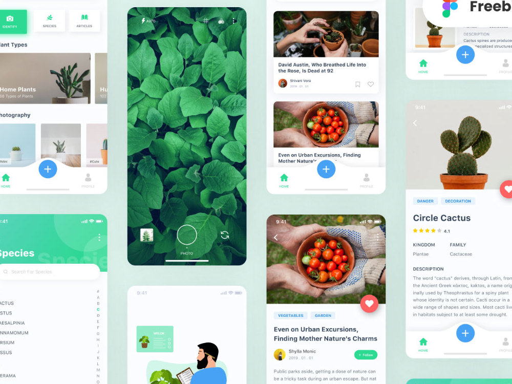 Modern and responsive website for your business | HTML | CSS | JavaScript. | Upwork