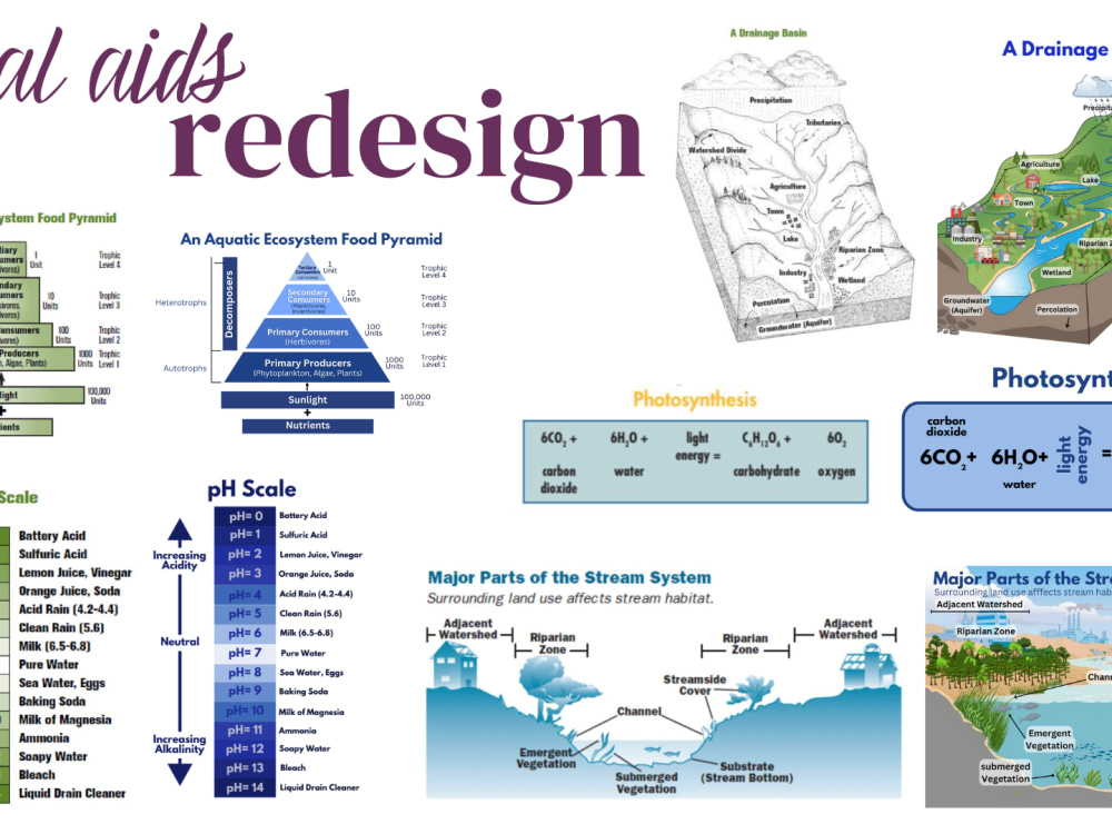 Personalized visual aids, presentations, flyers, graphics or worksheets ...