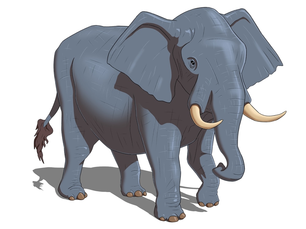 A beautiful stylized animal illustration. | Upwork