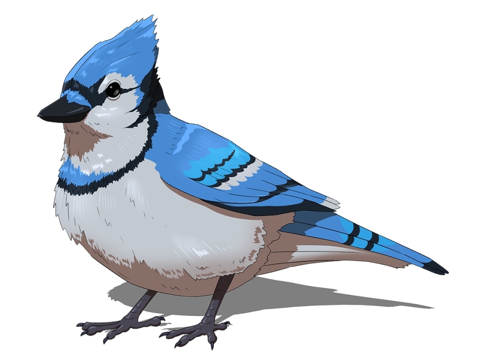 A beautiful stylized animal illustration. | Upwork