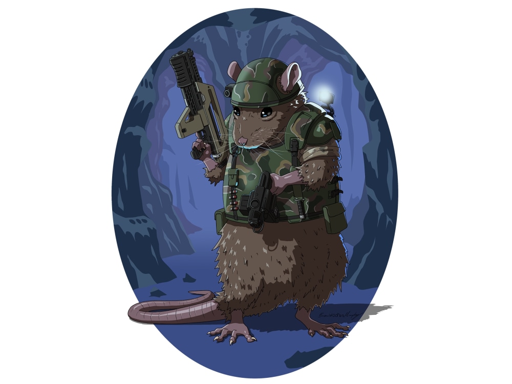 A beautiful stylized rat character illustration | Upwork