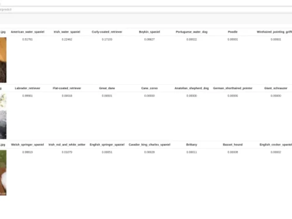 A dog breed detection | Upwork