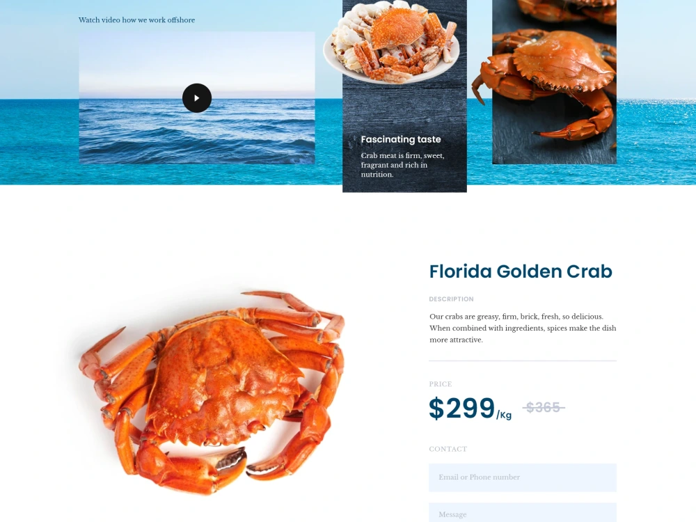 A professional, clean and modern website design | Upwork