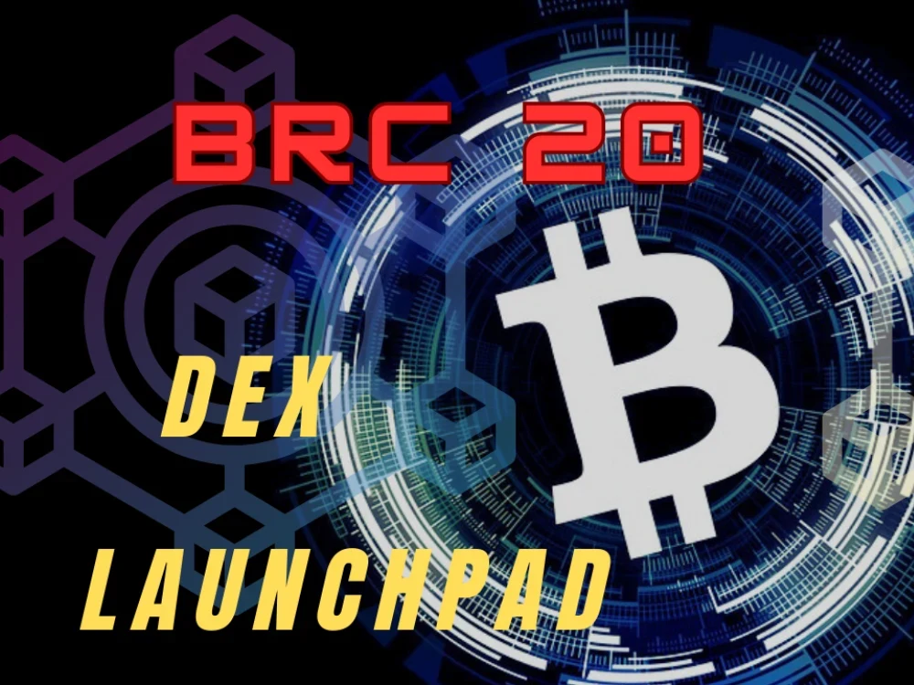 Brc20 launchpad DEX bitcoin blockchain | Upwork