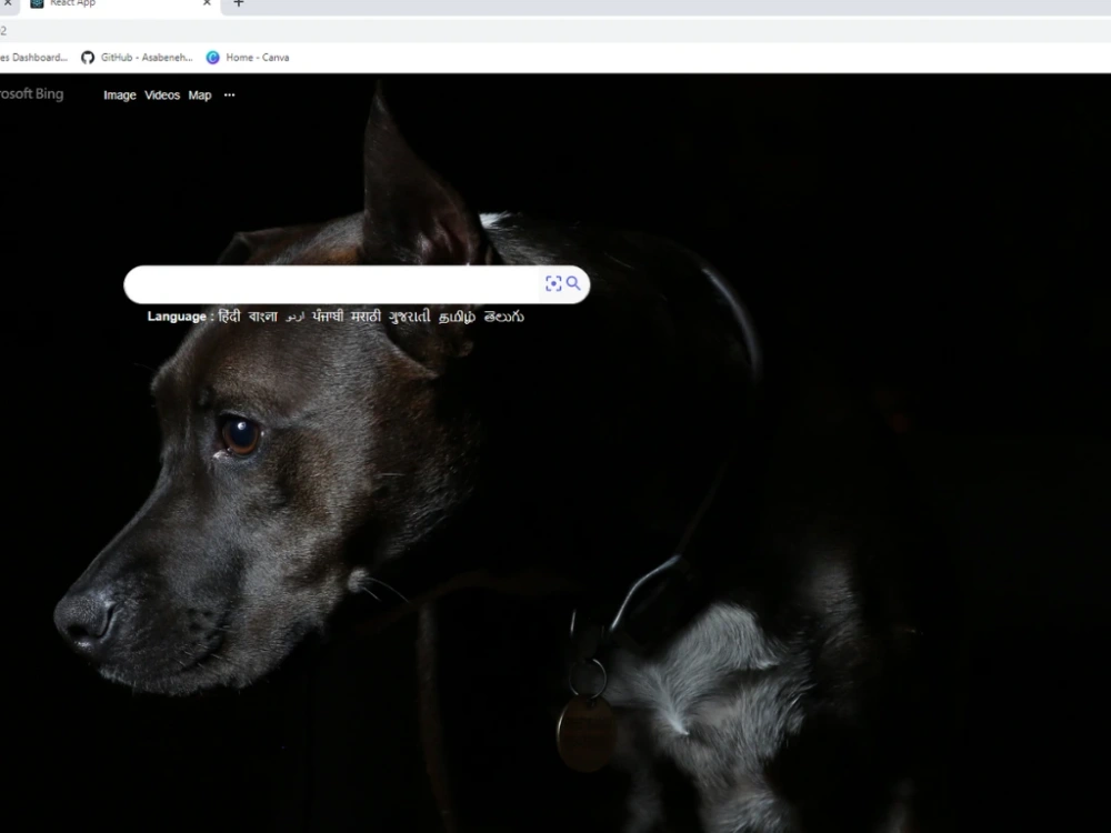 A responsive website with html css and js | Upwork