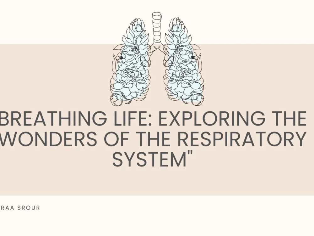 Professional and visually appealing presentations using PPT and Canva ...