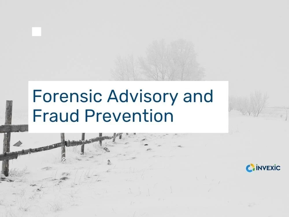 Forensic Advisory and Fraud Prevention | Upwork