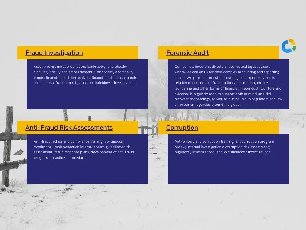 Forensic Advisory and Fraud Prevention | Upwork