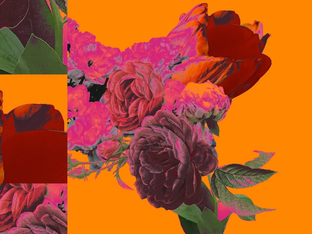 An amazing album cover! | Upwork