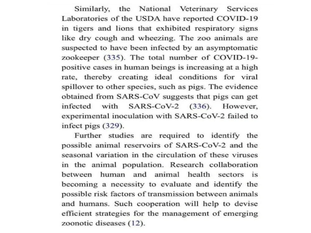 Document Typing And Retype Scrvice Upwork