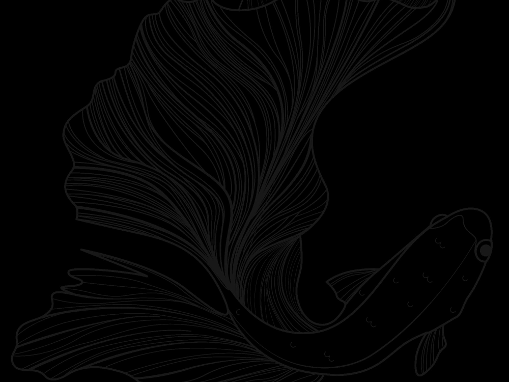 Contour illustration or line art (vector or raster) | Upwork