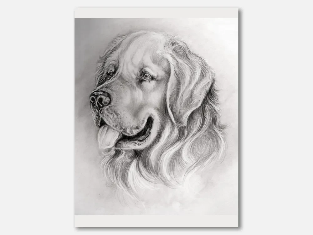 A Realistic Pencil Pet Portrait | Upwork