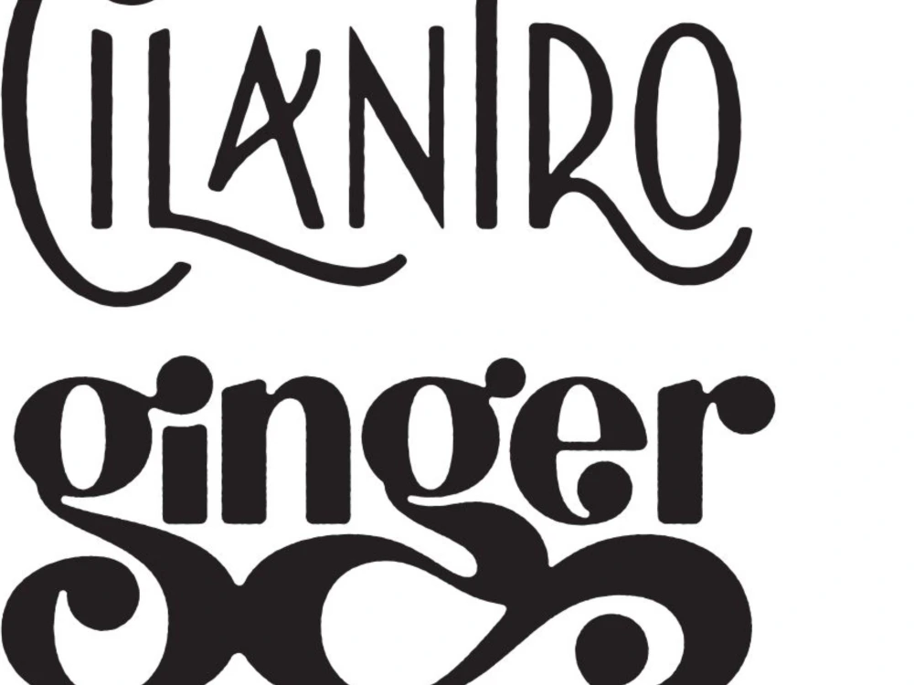 A custom font design and typography design typeface for your business ...