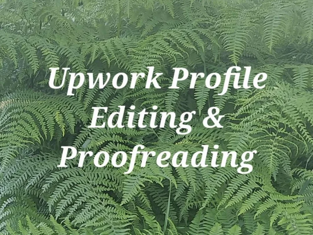 A professionally edited Upwork Freelancer profile | Upwork