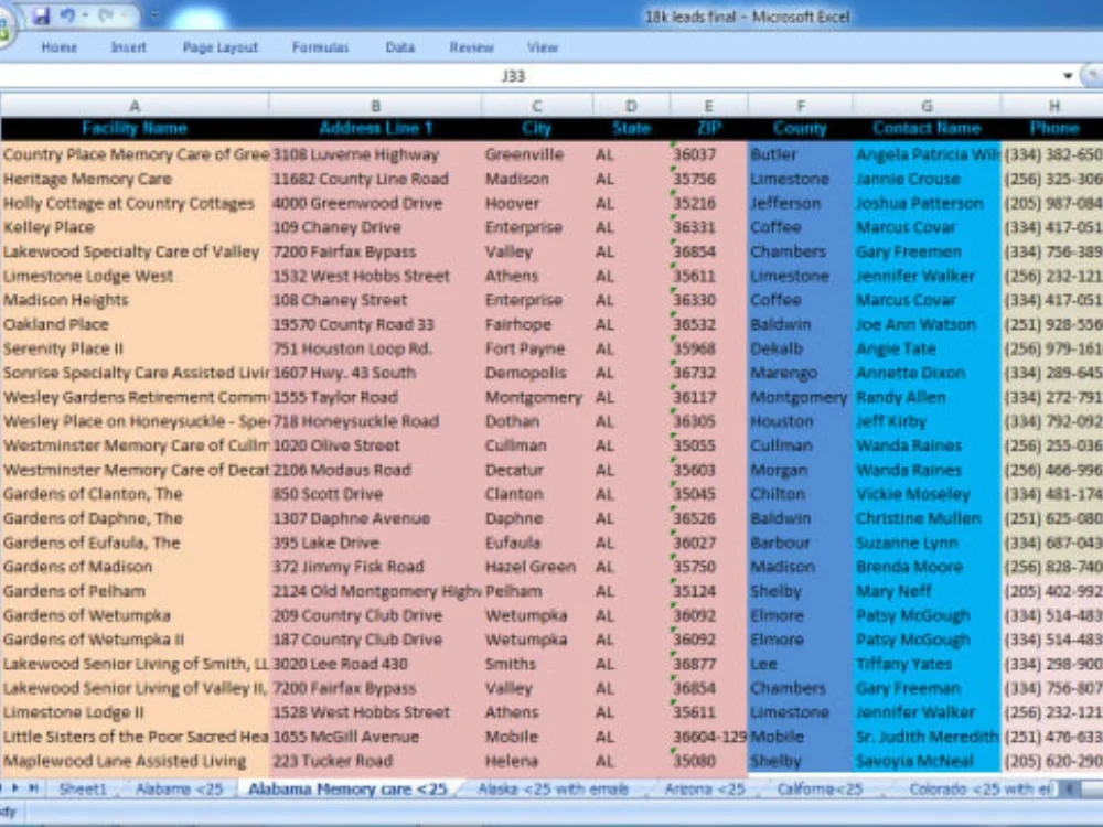 Data Entry, Lead Generation, Excel, Data Mining,Google Spreadsheets. | Upwork