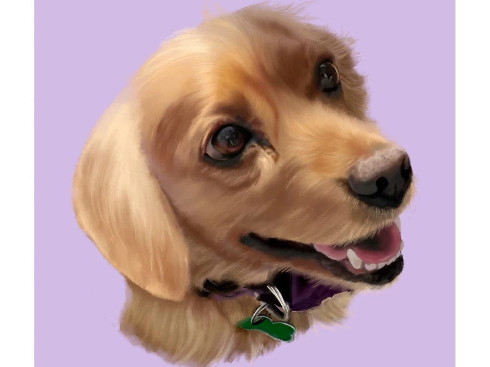 A realistic digital animal/pet portrait | Upwork
