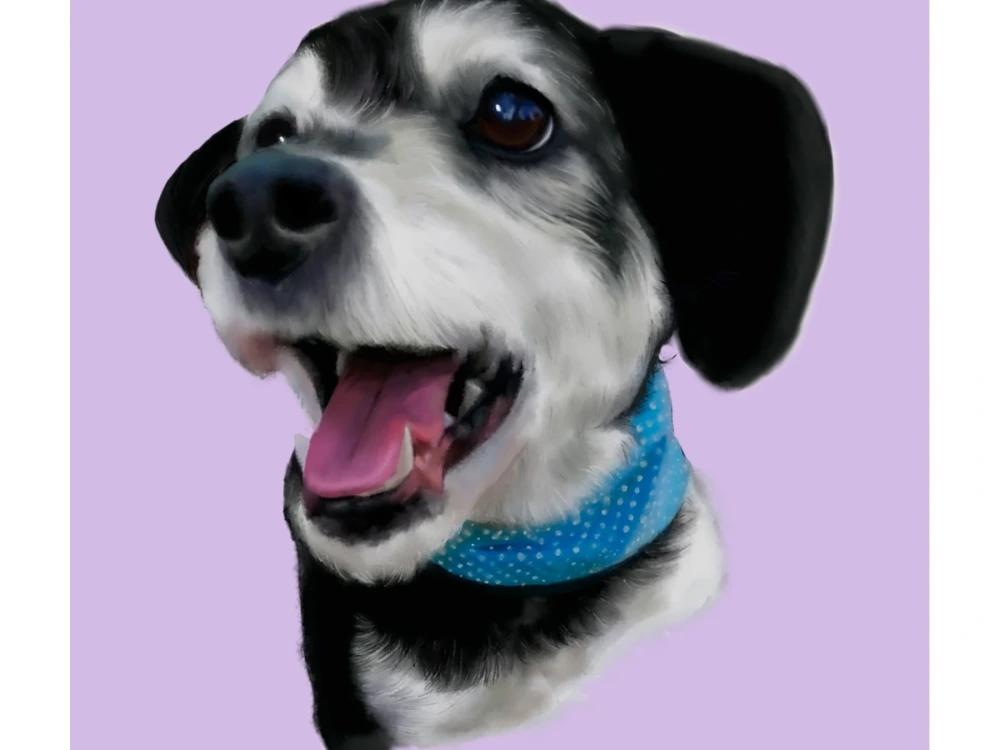 A realistic digital animal/pet portrait | Upwork