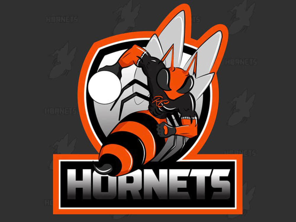 Unique Mascot Logo Design | Custom Cartoon & Character Branding | Upwork