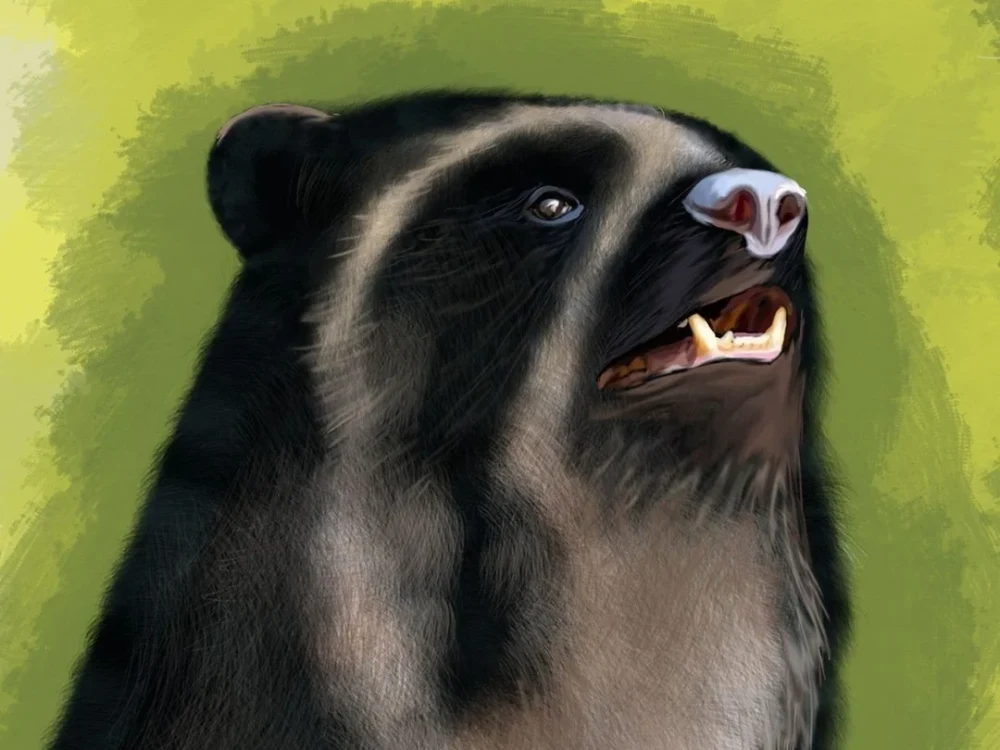 A realistic digital animal/pet portrait | Upwork