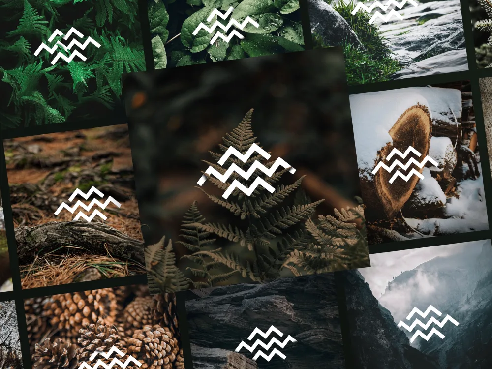 High Quality Graphic Design | Upwork