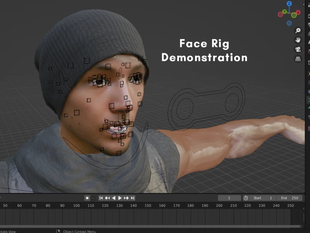 Face rig for 3d characters using blender | Upwork