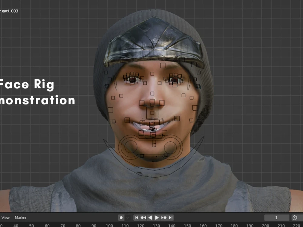 Face rig for 3d characters using blender | Upwork