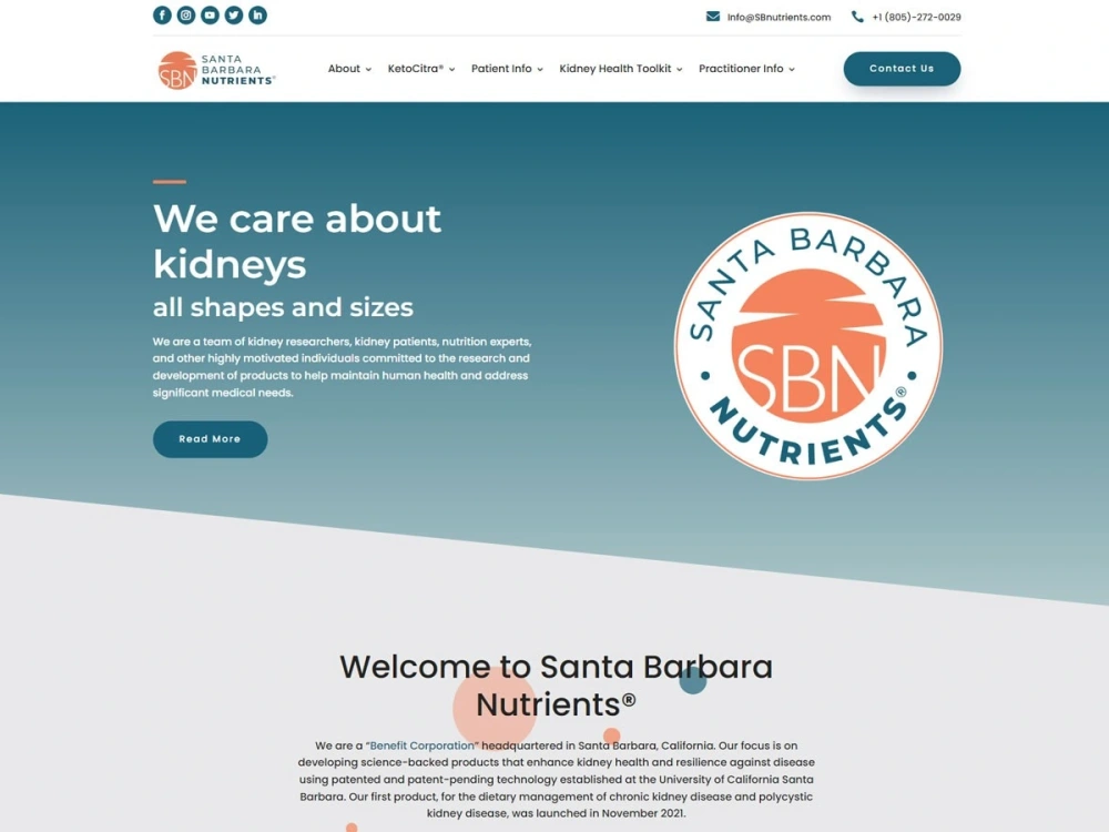 WordPress website development form scratch/theme | Upwork