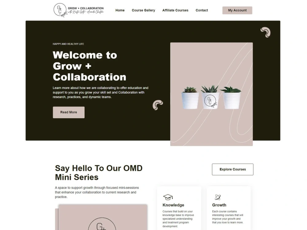 WordPress website development form scratch/theme | Upwork