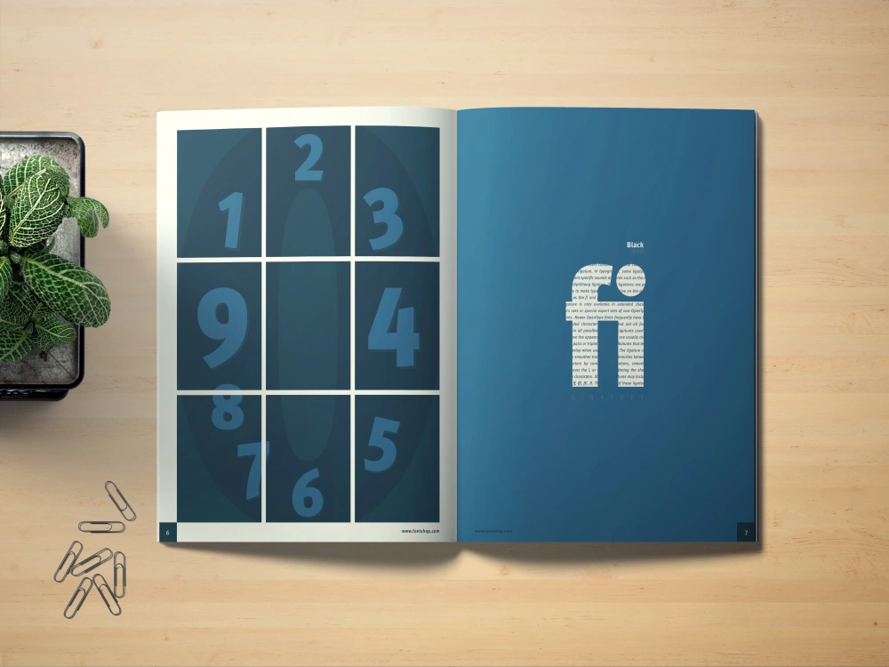 A Professional InDesign Editor | Upwork