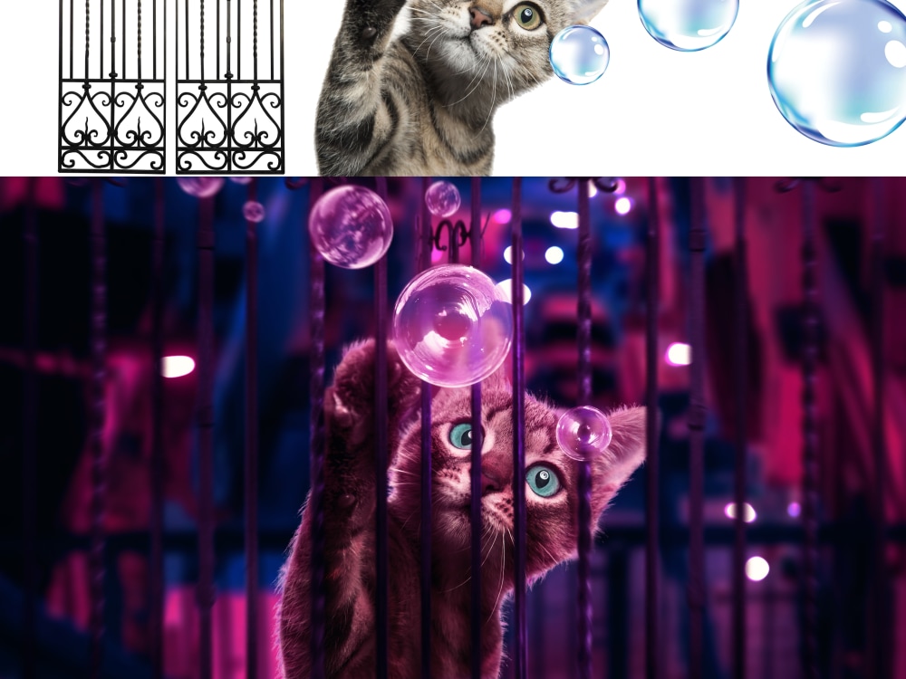 Complex photo manipulations / digital artworks | Upwork