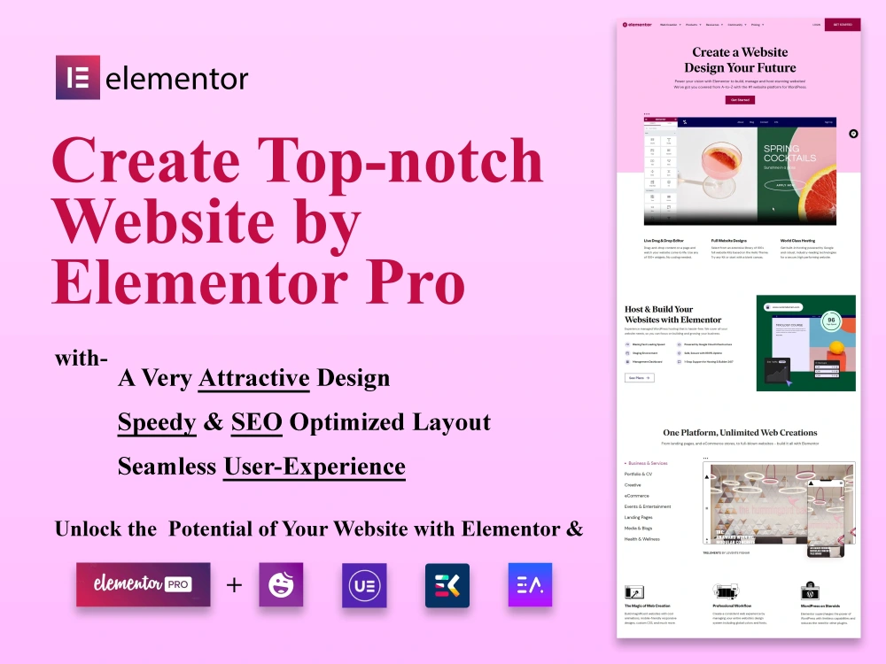 Elementor Pro Expert Elementor Designer Wordpress Developer Upwork