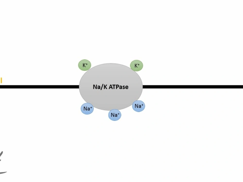 A fantastic Simple PowerPoint Animation for your diagram | Upwork