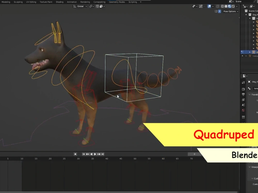 A Professional Rig for your 3d Character in Blender | Upwork