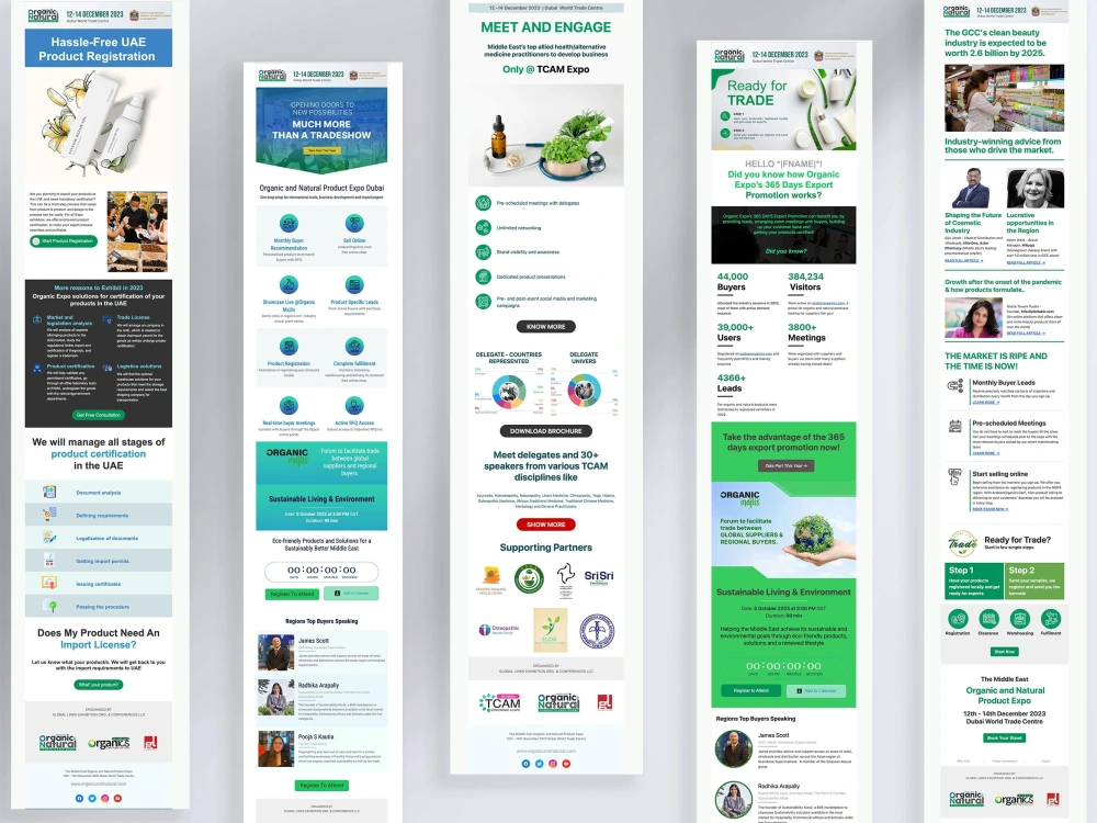 An attractive editable responsive email template design in MailChimp | Upwork