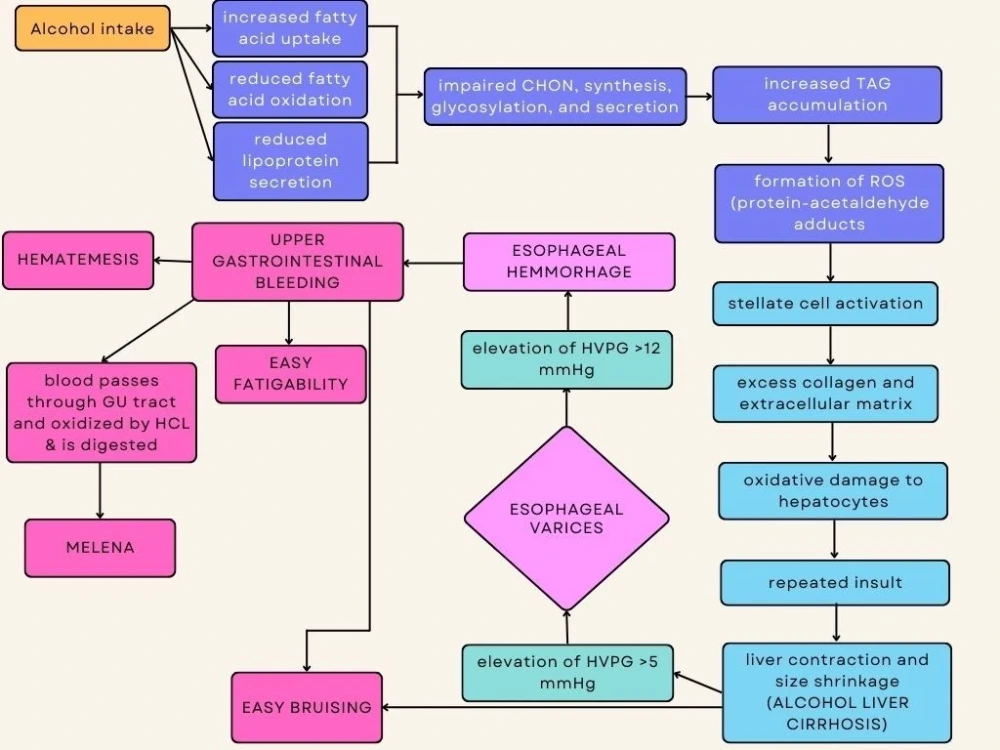 A Flowchart And A Script For That Flowchart Upwork