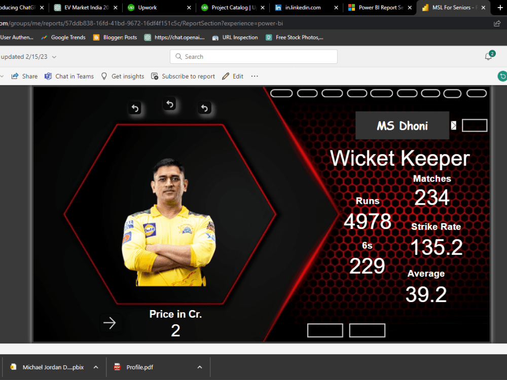 A Beautiful Power Bi Report And Dashboard in 12 Hours | Upwork