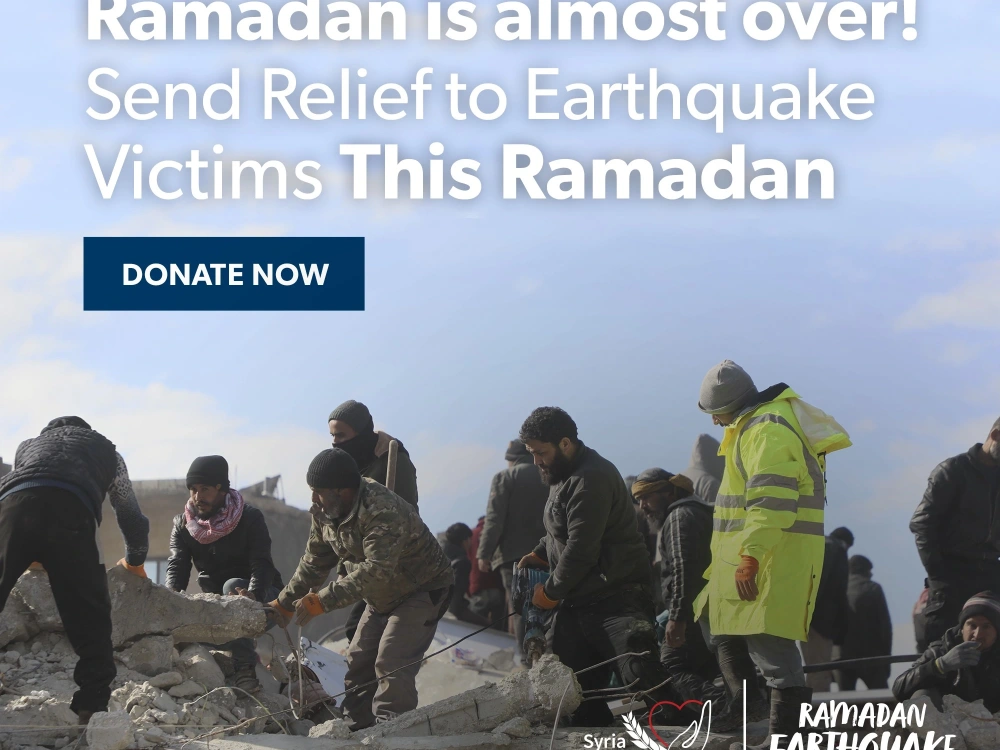 A amazing Social Media View | Upwork