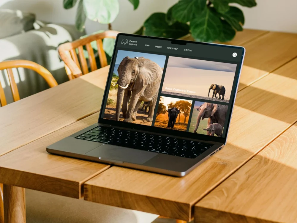 Redesigning a Sleek and Intuitive UI for Your Application | Upwork