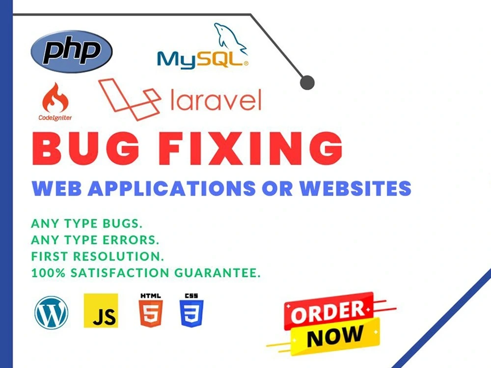 Expert coder for bugs fixing in your existing web application or website | Upwork