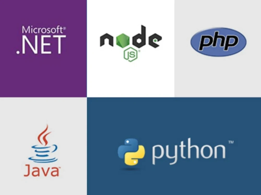 Expert Programming in Python, C++, Java, and JavaScript | Upwork