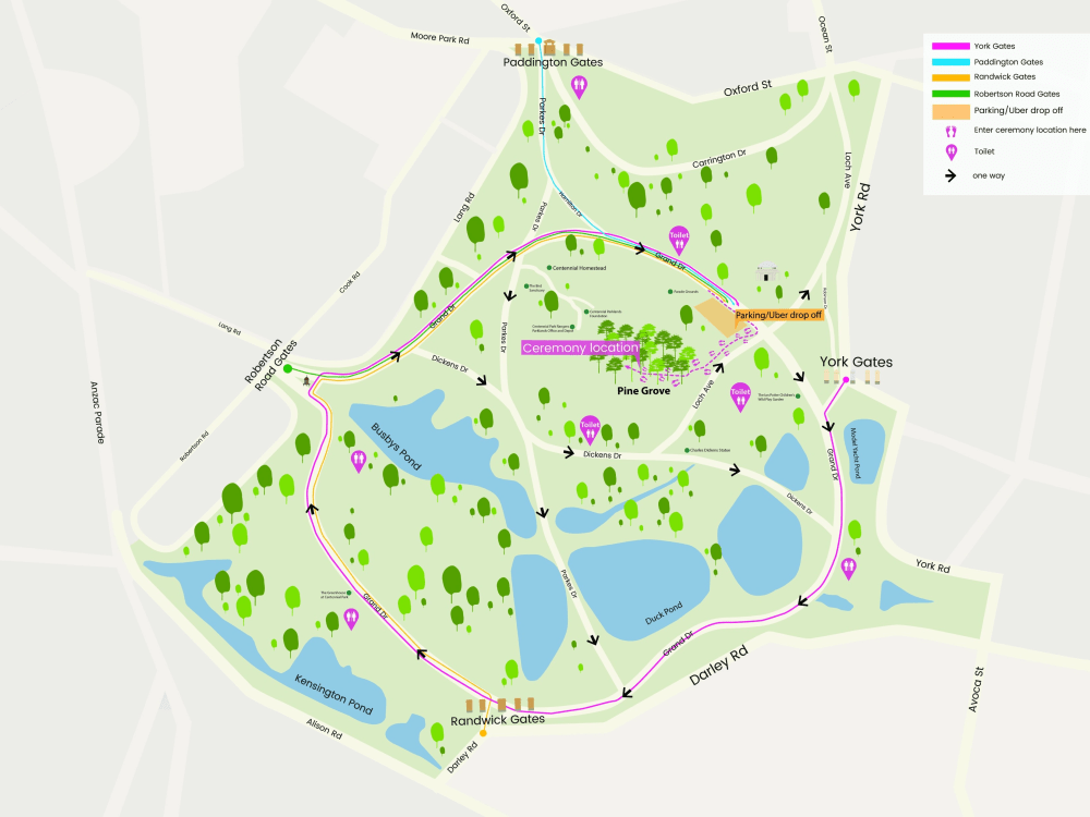 Design and illustrate a map graphic | Upwork