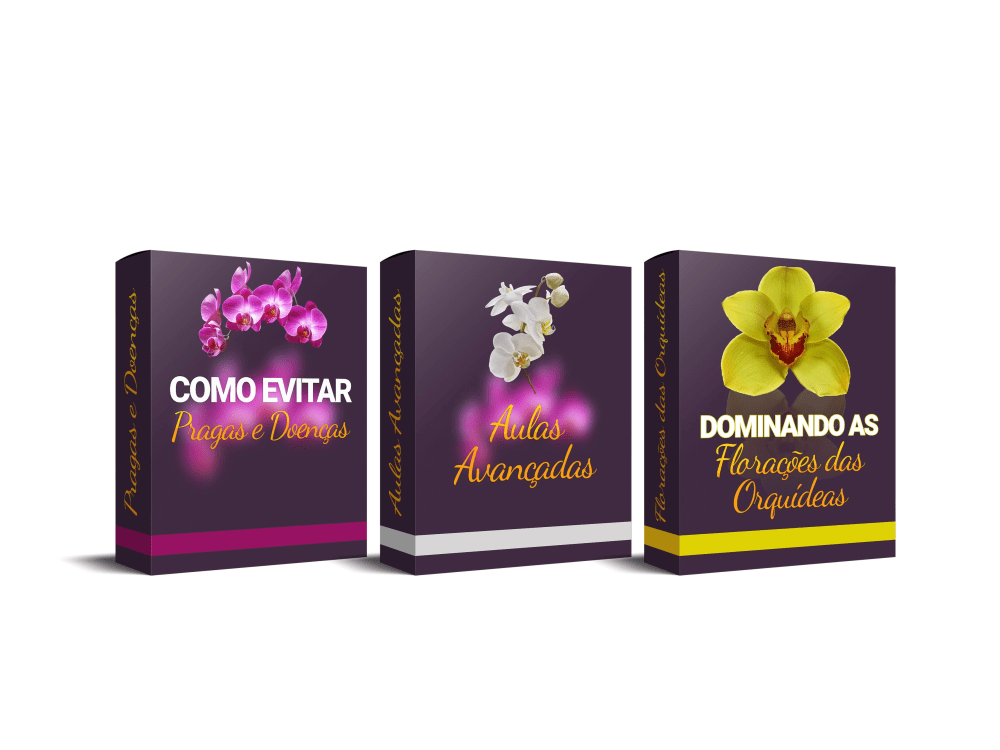 Design 3d ecover bundle, ebook cover, digital product mockup | Upwork