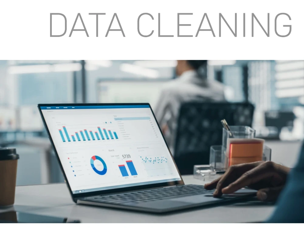 A totally cleaned Excel sheet with proper data to be analyzed | Upwork