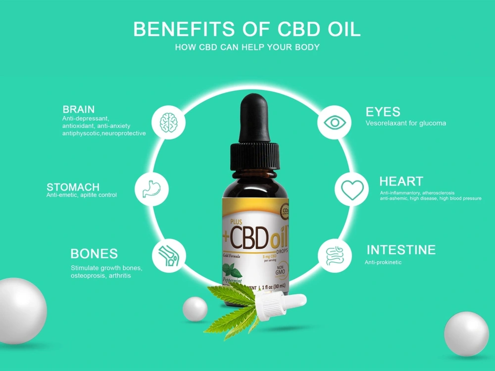 Creative Business, Product, Informational, Comparison Infographic ...