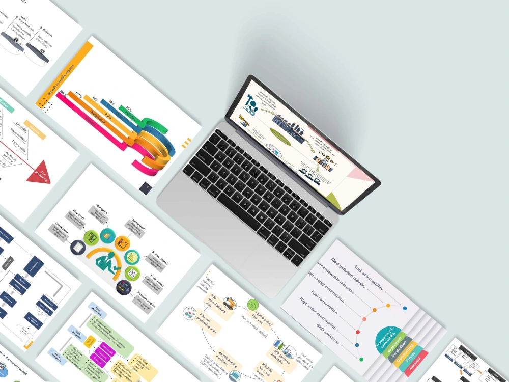 Professional infographics, flow charts and diagrams for your projects ...