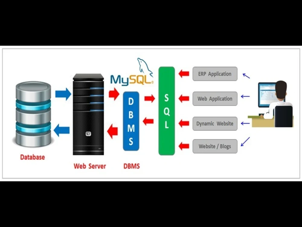 Database Design and Development Oracle/MYSQL,ERD, Backup & recovery | Upwork