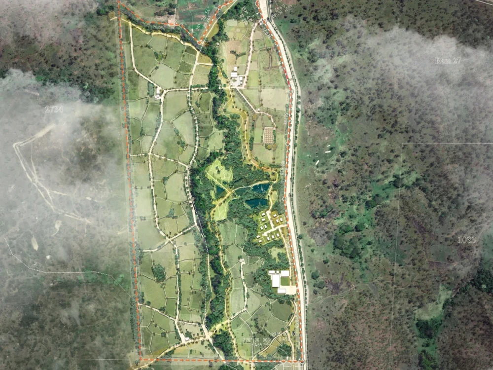 A stunning illustrative masterplan that sells your vision | Upwork