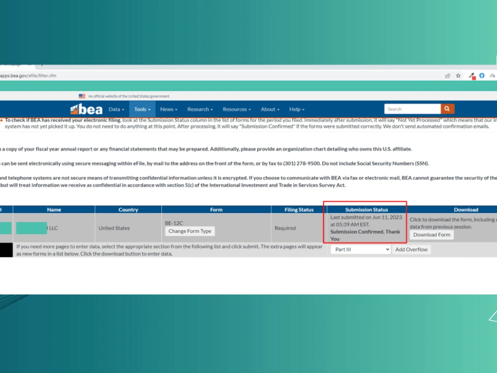 Your e-filing for BE-12 benchmark survey at BEA | Upwork